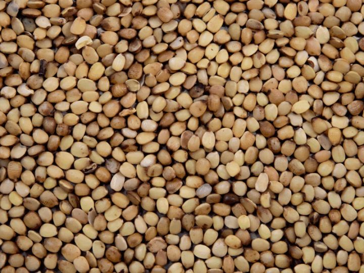 Product • CAROB S.A.